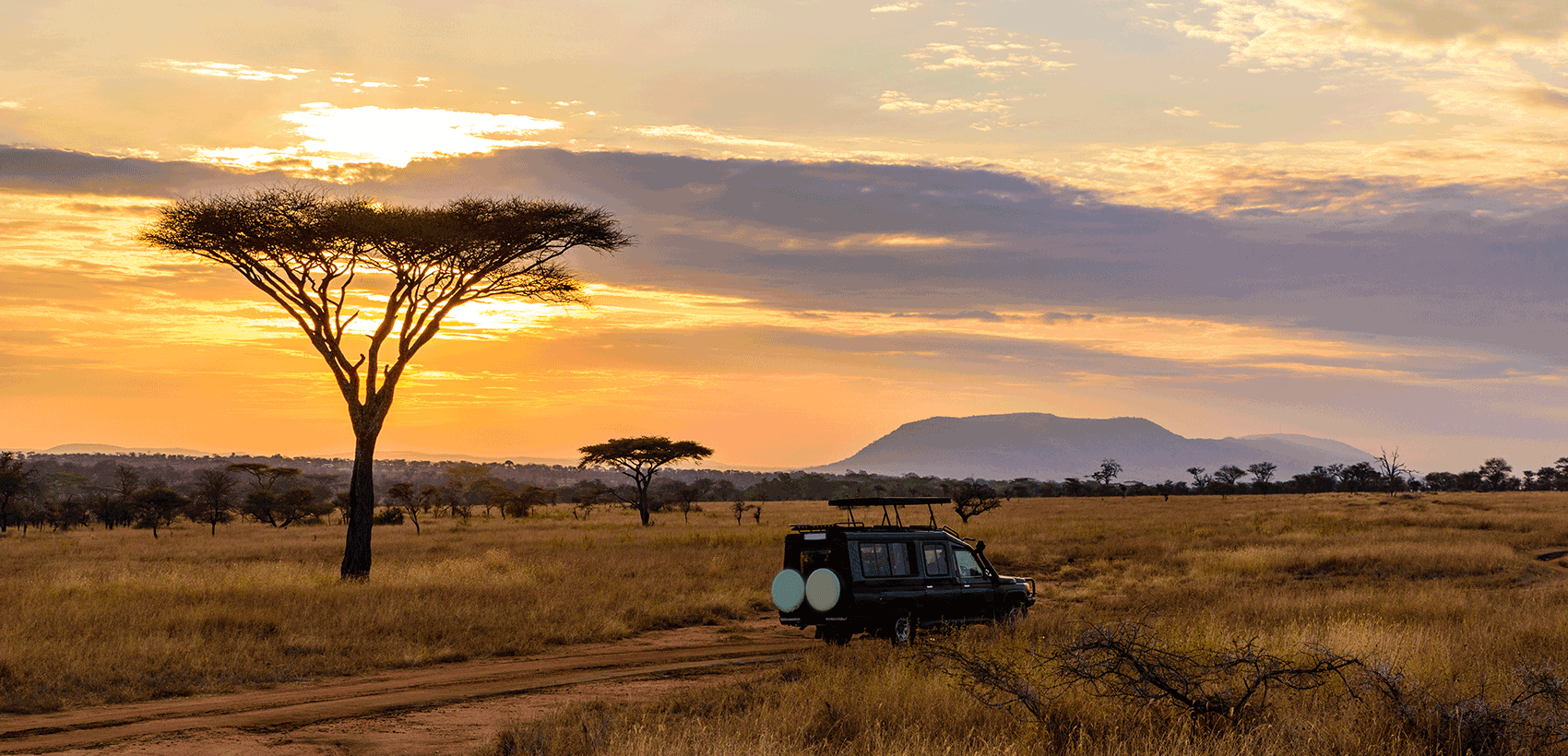 FatimaCaminhos - Agência de Viagens | MAPUTO SAFARI KRUGER - MOÇAMBIQUE